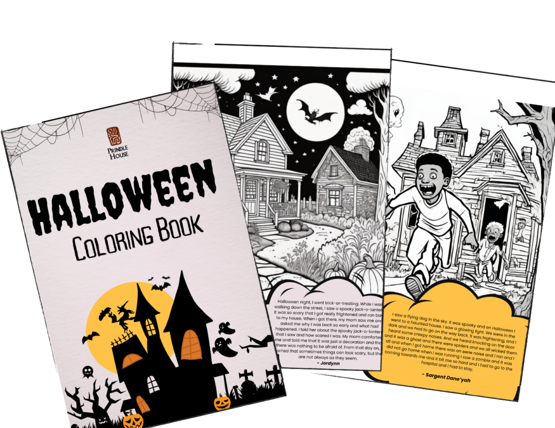 Young Writers Program - Prindle House Publishing